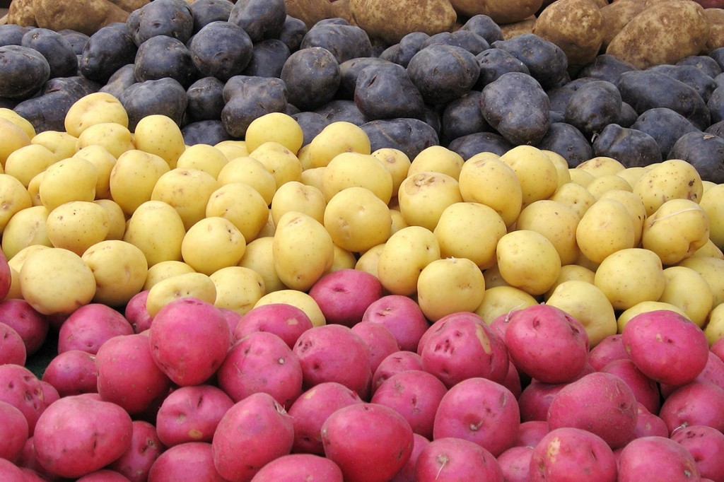 Tipos de batatas e o que você pode fazer com elas - Minha Marmita Tem
